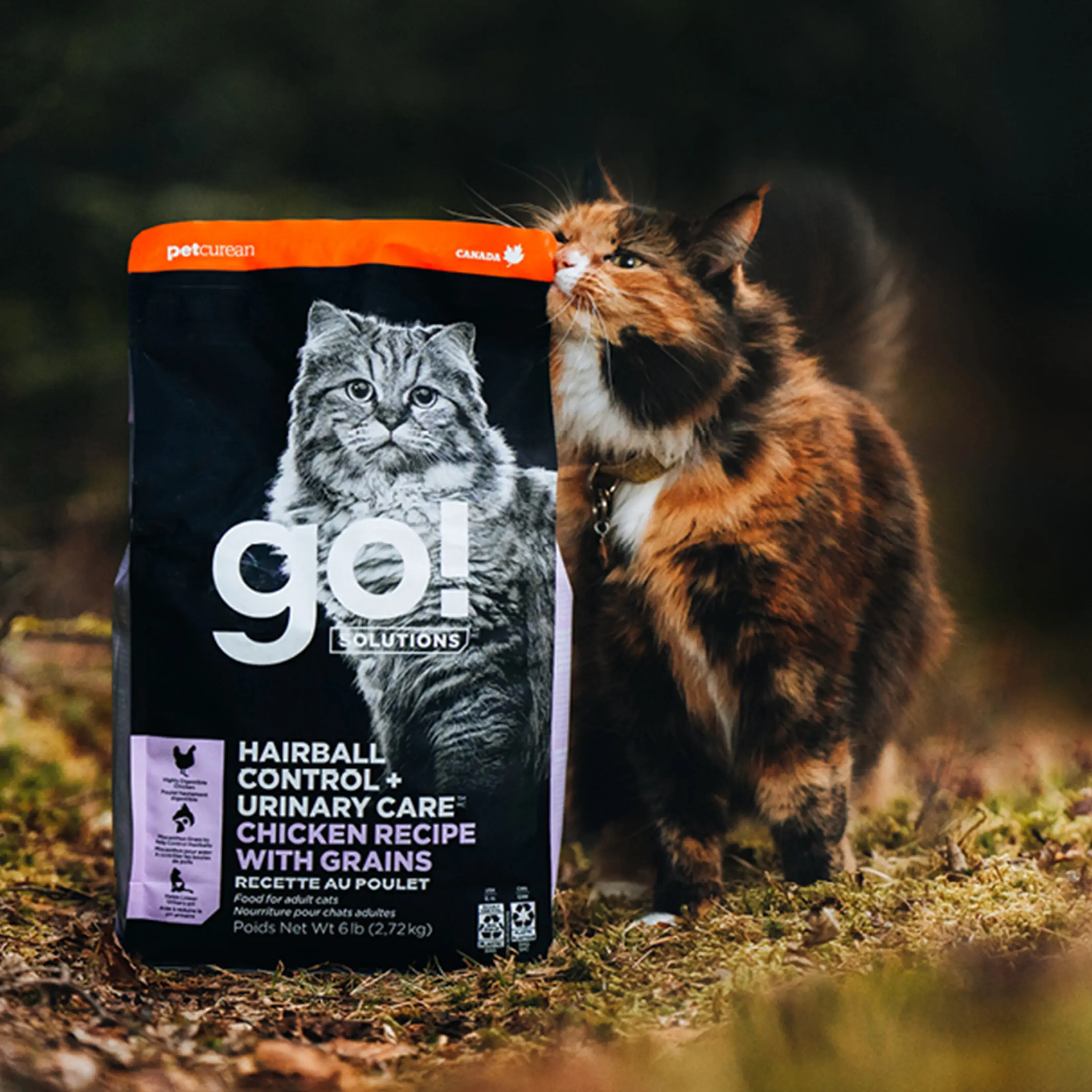 GO! Solutions: A targeted campaign for industry leading performance